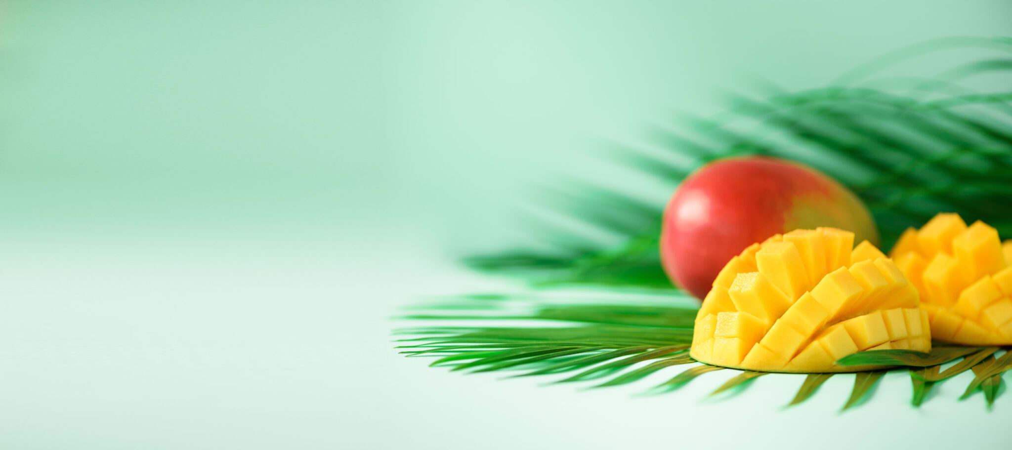 Madd du Sénégal (Saba senegalensis) – ZENA